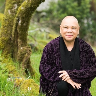 Traditional Buddhism | Insight Timer